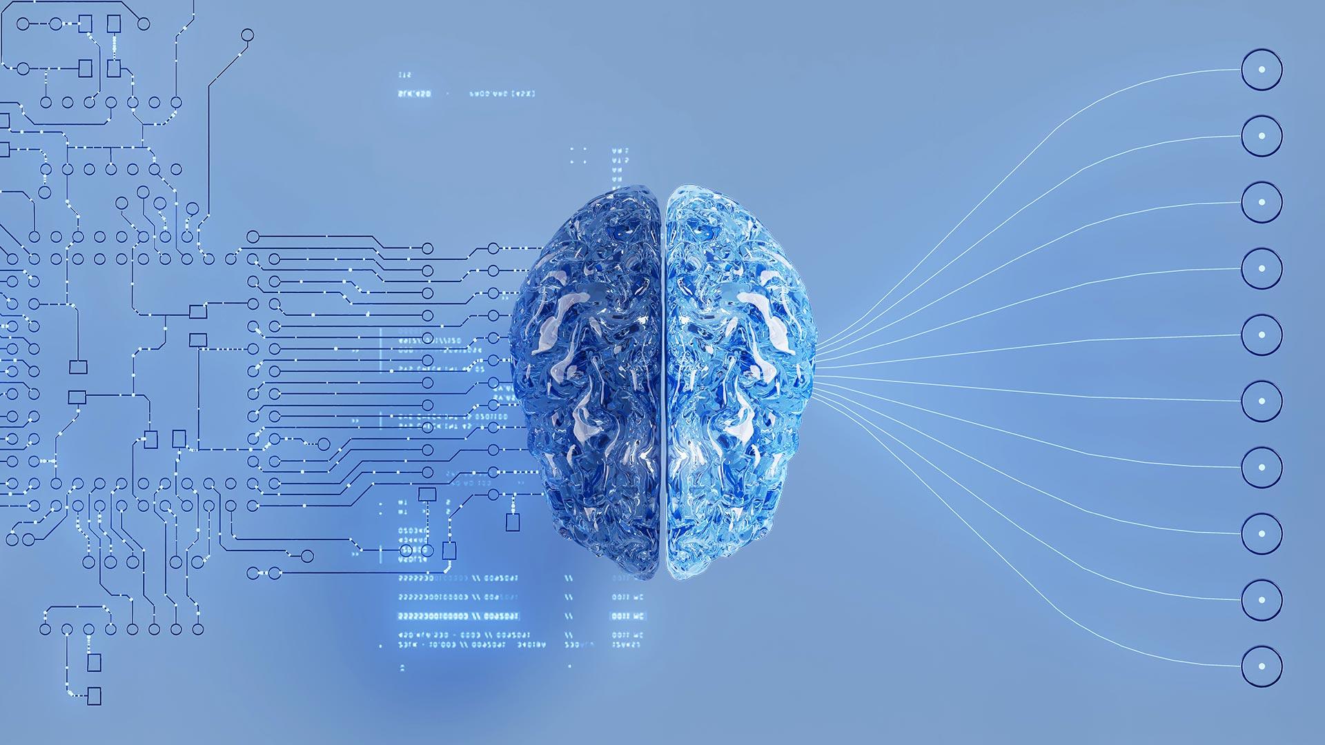 Government Agencies: AI Platforms or AI Tools?